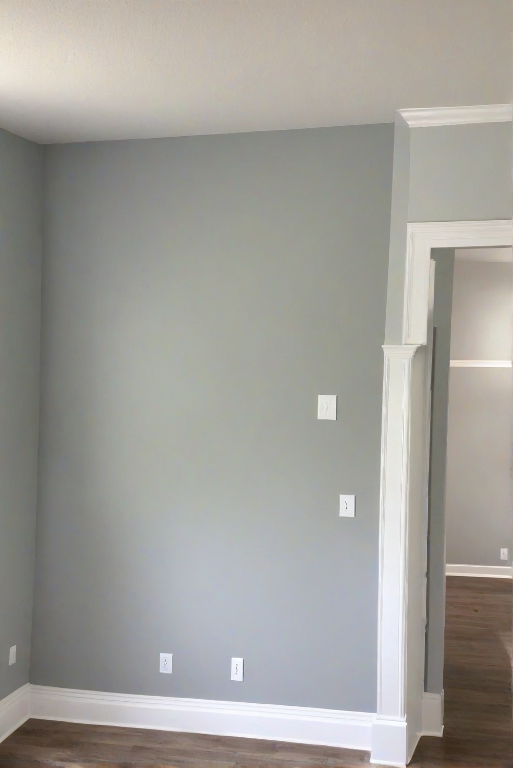 Is Silver Strand (SW 7057) wall paint good for a living room? [2024 ...