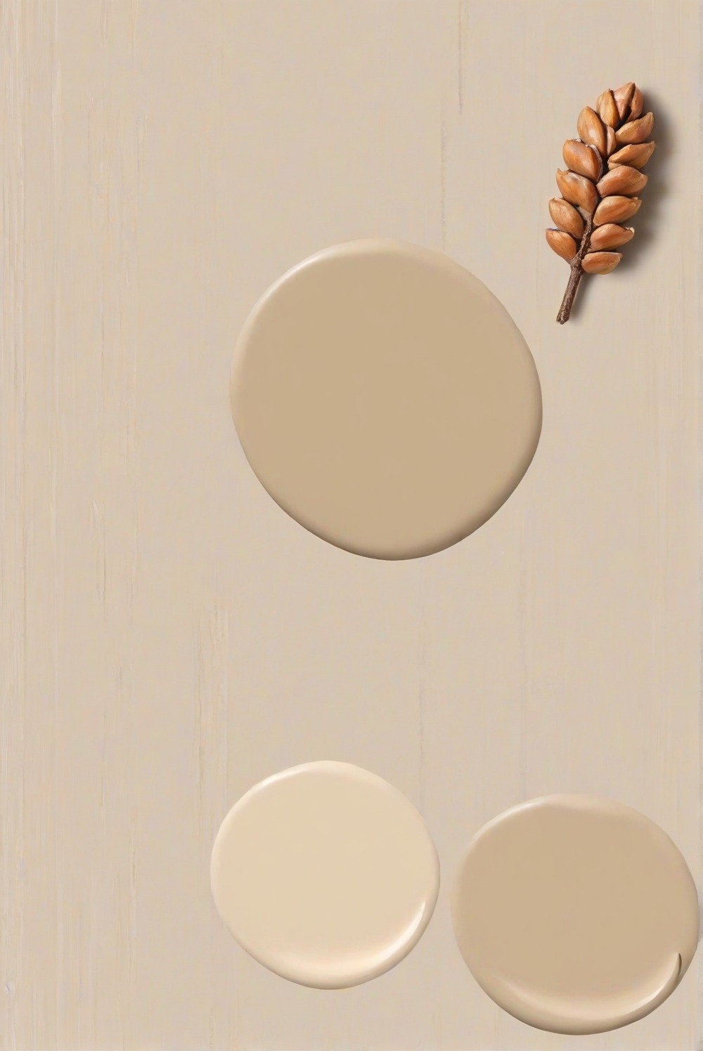 Is Toasted Pine Nut (SW 7696) Wall paint good for Bathroom [2024] Best ...