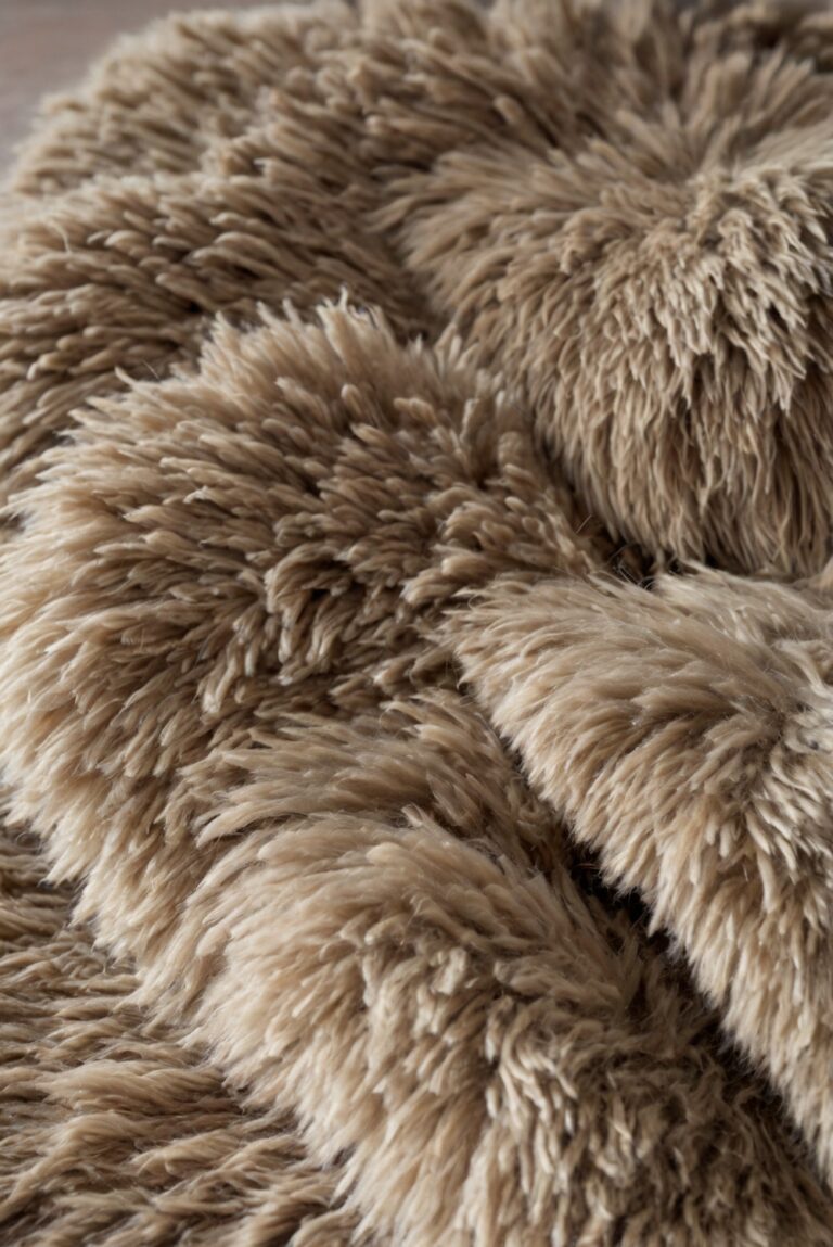 How to Create a Cozy Ambience with a Shaggy Rug in Your Living Room ...